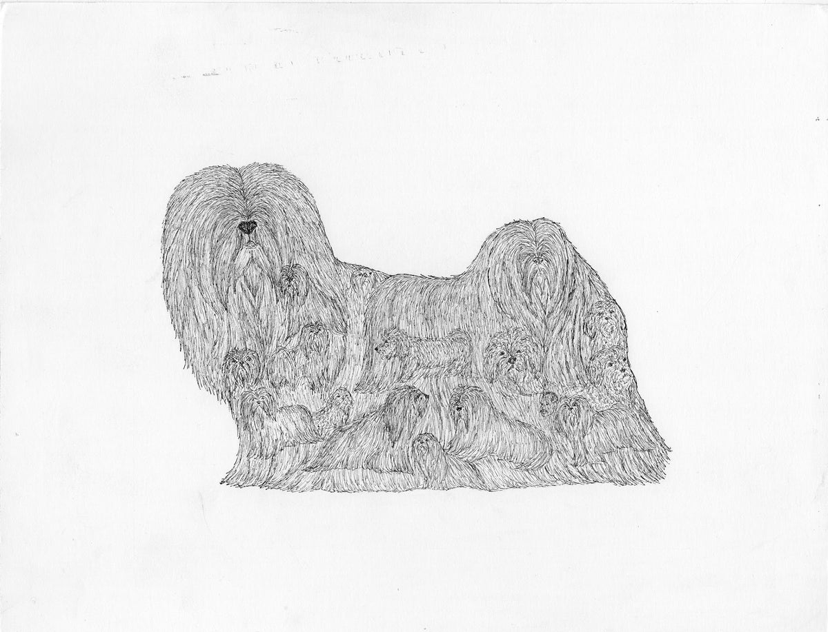 Lhasa Love – Chazmania