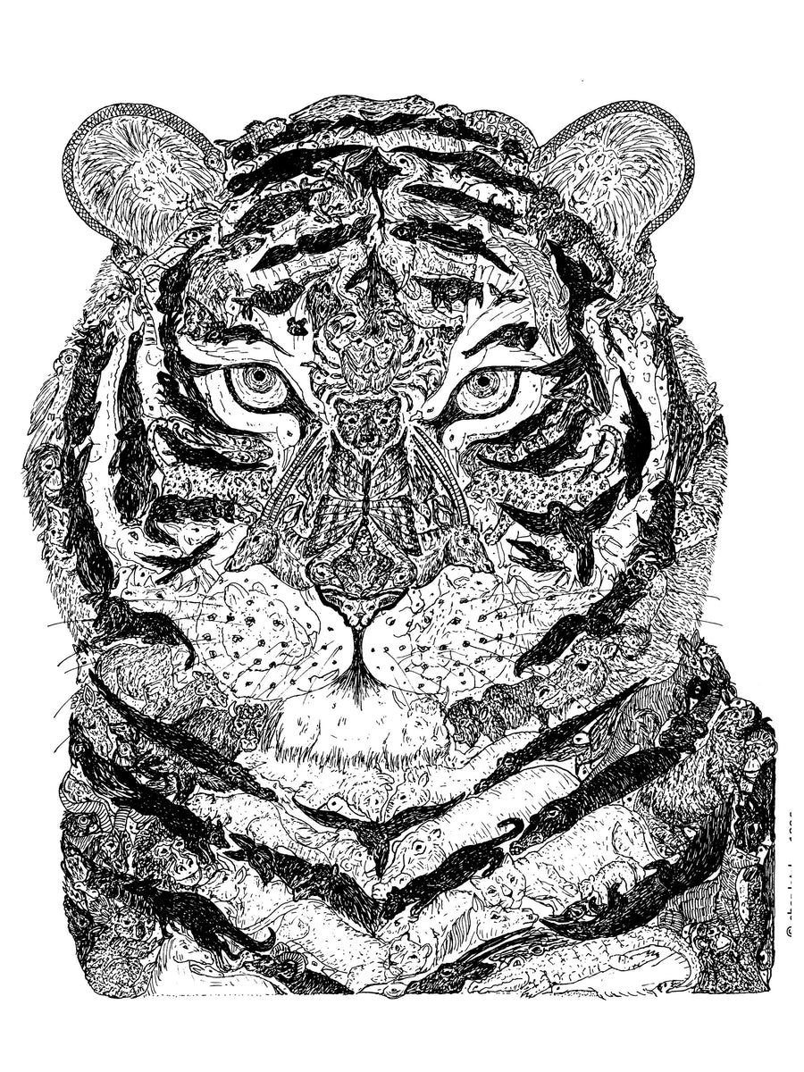 Tigerama – Chazmania